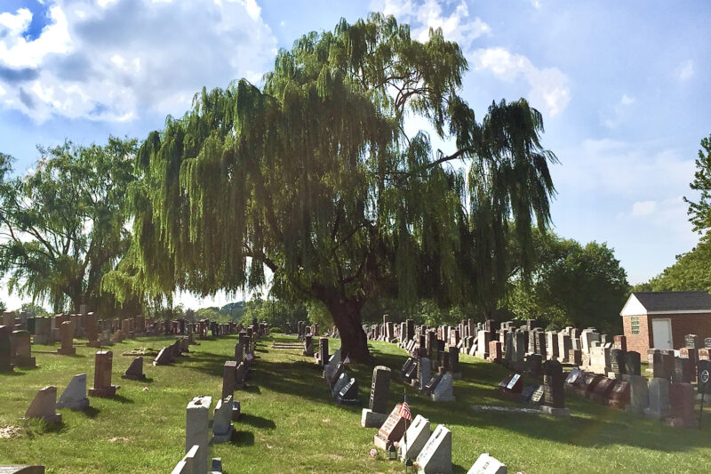 Mt Olive Cemetery Delaware – Mount Olive Cemetery de Sandtown, Delaware ...